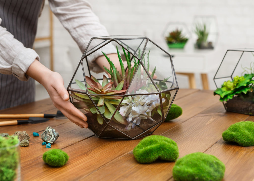 The Old Photo Album - Page 7 of 18 - Helping you make memories